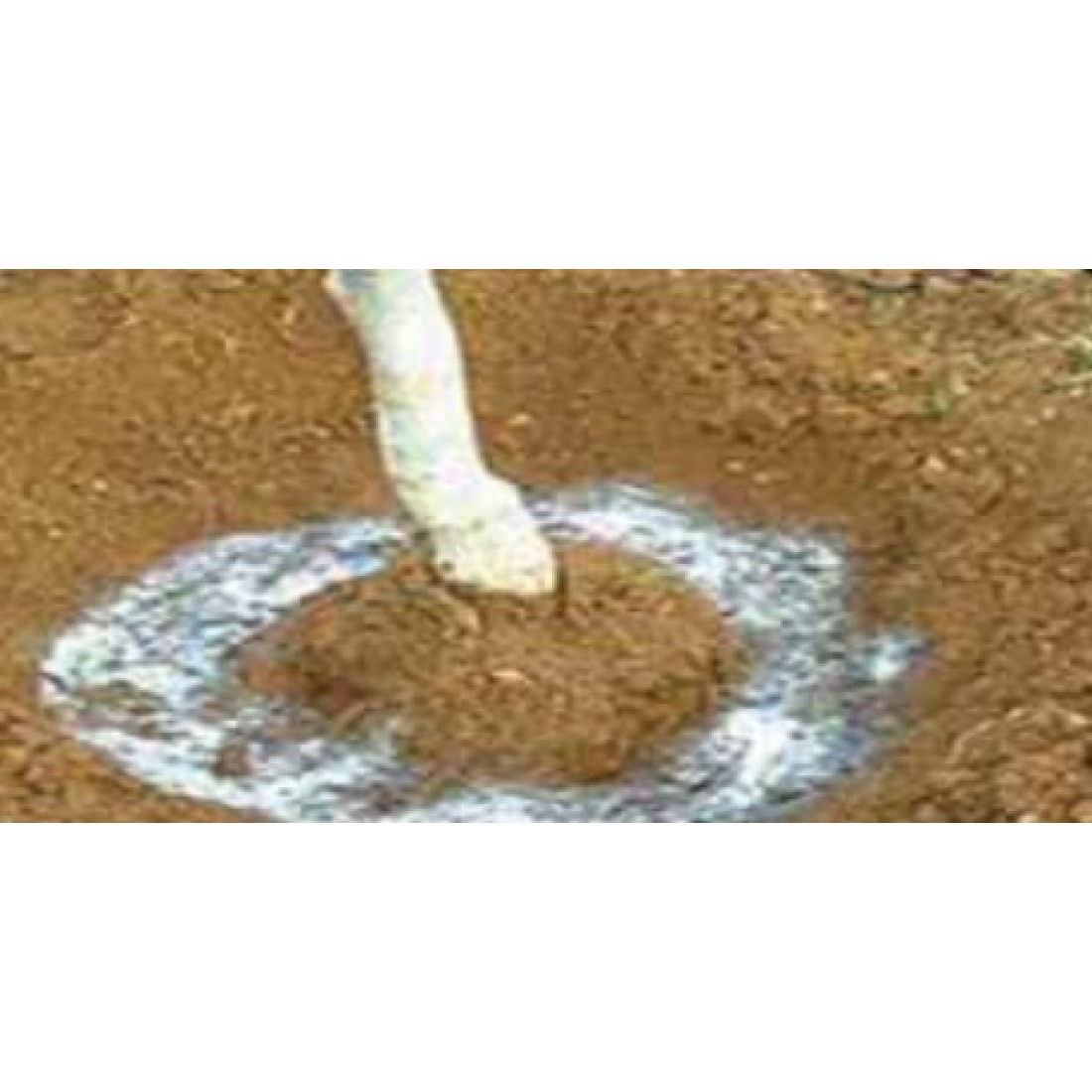 SOIL WATER TRAP - Toprak Su Tutucu